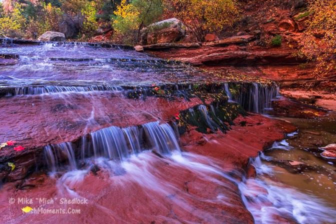Waterfall – Subway Trek – Zion National Park (66) – MishMoments